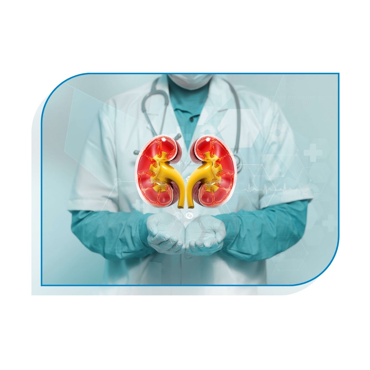 History – INDIAN SOCIETY OF NEPHROLOGY